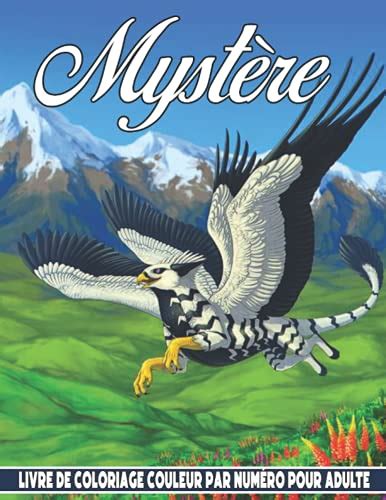 Myst Re Livre De Coloriage Couleur Par Num Ro Pour Adulte Un Livre De Coloriage Adulte Couleur