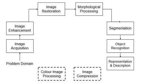 what is image processing cse