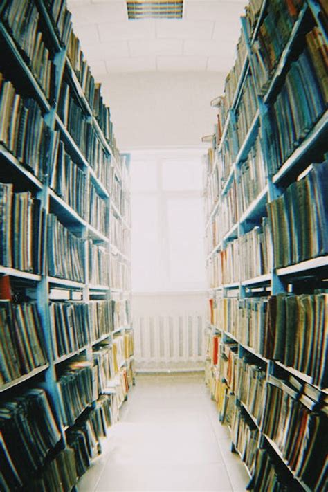 실내 건축 공공 도서관 교육 다문화 문학 도서관 도서관 내부 도서관 선반 독서 공간 독서하는 라디에이터 먼지가 많은 책 문학 문화 유산 바닥