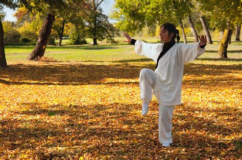 太极拳素材 太极拳图片 太极拳素材图片下载 觅知网