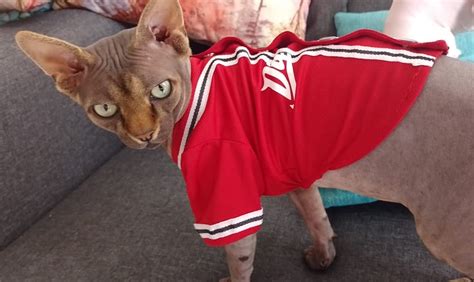 El Guapísimo Luke Bien Deportivo El Armario De Verónica