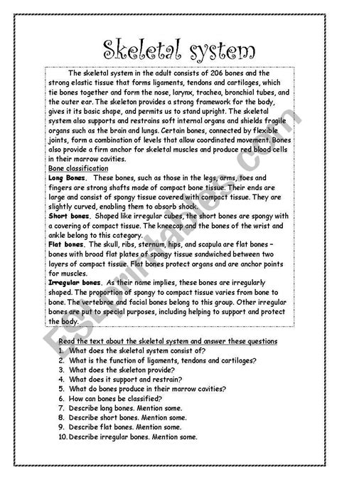 Skeletal System ESL Worksheet By Cecilia Isabella