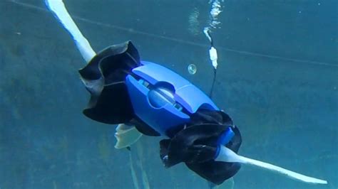 Video The turtle like robot that could help protect the environment Science EL PAÍS English