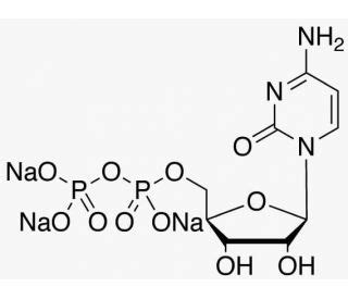 Cytidine 5′ Diphosphoric Acid Trisodium Salt Cas 34393 59 4 Scbt