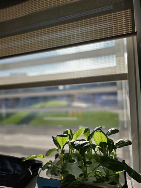 Yuet Wei Toh On Linkedin Sff Skillsfuture Skillsfuturefestival Discoverrp Republicpolytechnic…