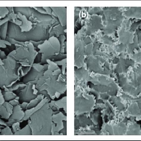 Scanning Electron Microscope Cross Section Micrographs Of The Download Scientific Diagram