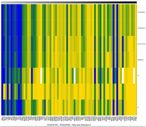 GitHub Mbohutinska NatGenVarViewer The Natural Genetic Variability Viewer