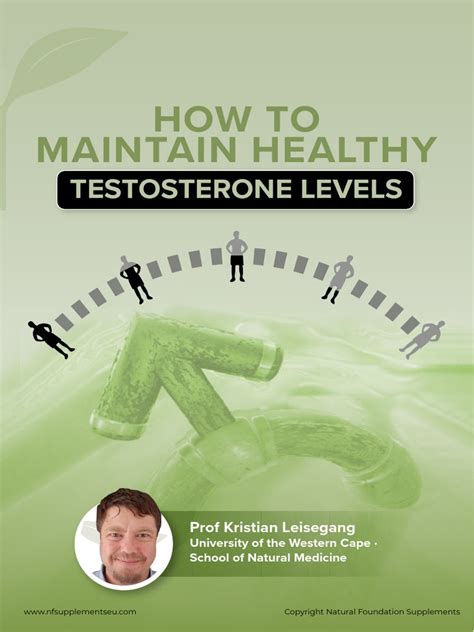 How To Maintain Healthy Testosterone Levels Eu Pdf Testosterone