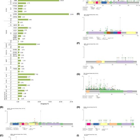 Landscape Of Somatic Alterations In Nsclc Involved In This Study A