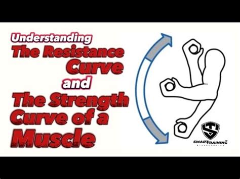 Understanding The Resistance Curve And The Strength Curve Of A Muscle Biomechanics