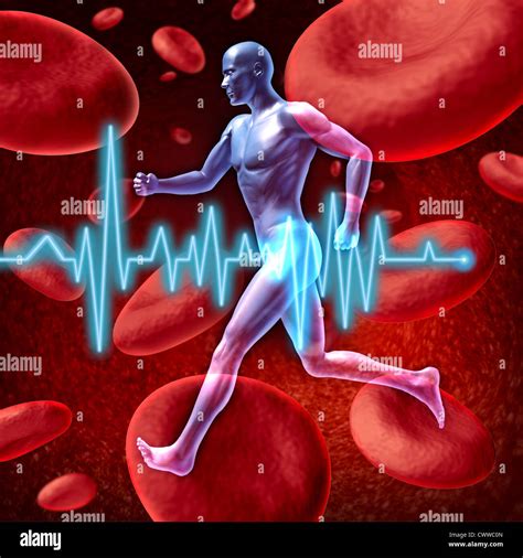 Circulatory System Animation
