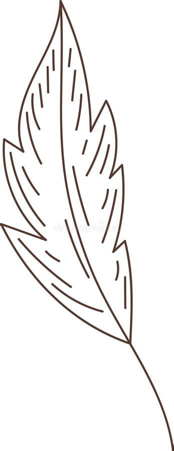 Floral Leaf Sketch Stock Vector Illustration Of Wedding 358615341