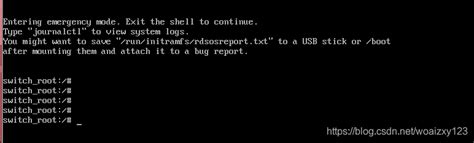 linux紧急救援模式 kvm虚拟机进入急救模式 csdn博客