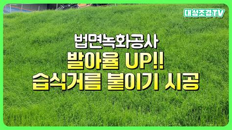 습식녹생토 습식거름파종 습식거름뿌리기 습식거름뿜어붙이기 전국 녹생토 전문업체 대성조경 Youtube