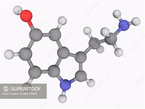 Serotonin Molecular Model Monoamine Neurotransmitter Popularly