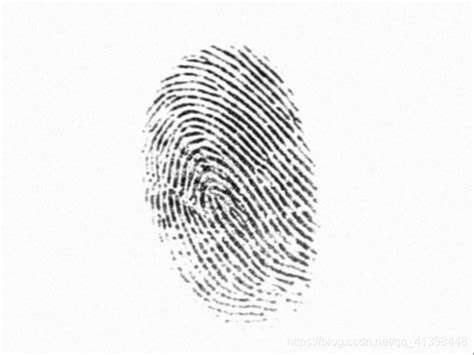 数字图像处理与分析 指纹图像增强python Csdn博客