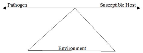The Triangle Of Epidemiology Epidemiological Triad Microbiology Class
