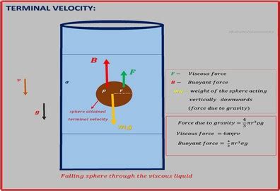 What Is Terminal Velocity Definition Expression Examples Eduphysics CBSE AND NEET