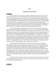 GEOG A LAB REPORT Docx LAB Net Radiation At Earth S