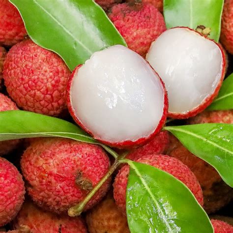 Rambutan Vs Lychee Whats The Difference Insanely Good