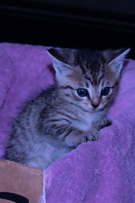 Transformations On Behance