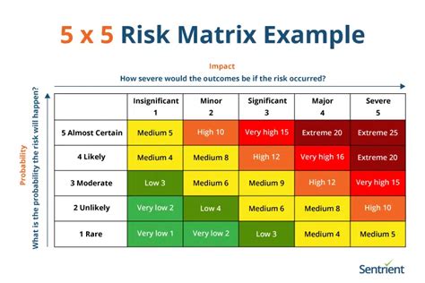 Understanding 5x5 Risk Assessment Matrix A Complete Guide
