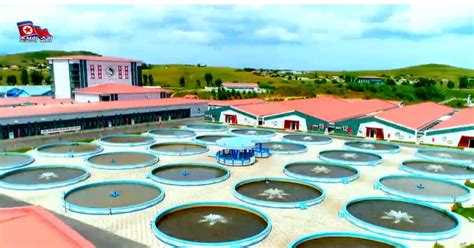 北양식업 면적보단 생산기술 향상 집중빨리 크는 물고기 확보