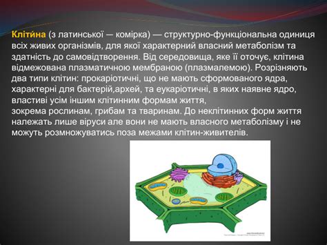 Презентація на тему Будова клітини