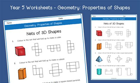 Nets Of 3d Shapes Explained Worksheets Library
