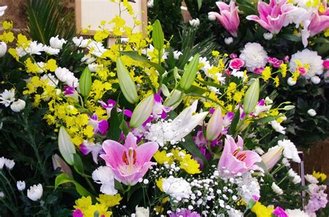 お葬式に花を飾る意味や由来とは？種類ごとの花言葉も紹介 神奈川県の葬儀・葬式・家族葬なら定額葬儀の【杉浦本店】