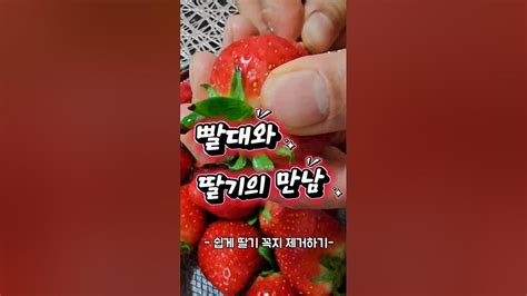 빨대와 딸기의 만남 쉽게 딸기 꼭지 제거하기 Youtube