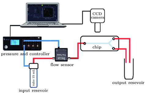 Color Online Schematic Setup Of The Microfluidic Flow Experiment Download Scientific Diagram