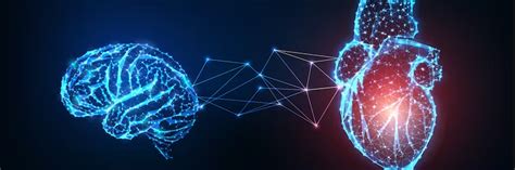 Fmri Guided Tms Demonstrates Predictive Modulation Of Heart Brain Coupling In Prefrontal Sgacc