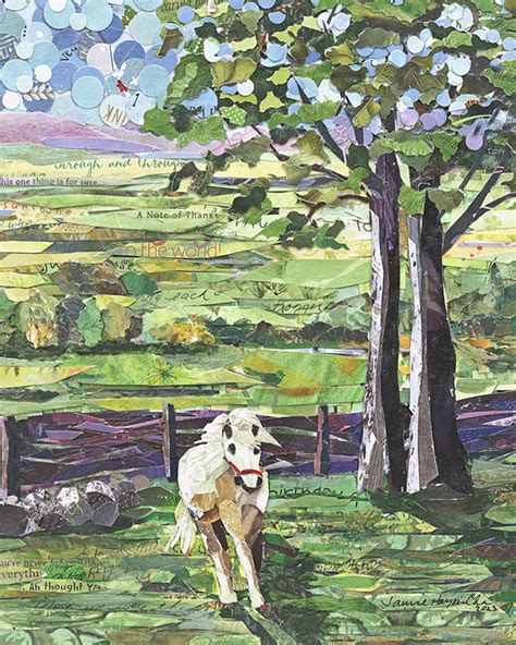 Cloonacool Sligo Janice Hayes Cha