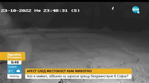 САМО ПРЕД Nova Говори жената подала сигнал за пребитото куче Мечо Vbox7