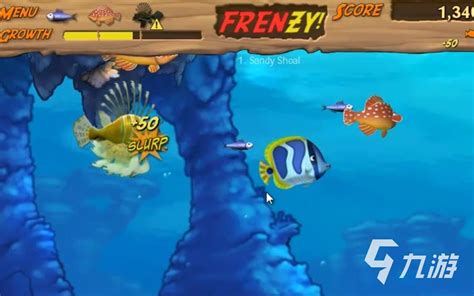 好玩的大鱼吃小鱼游戏有哪些 高人气的大鱼吃小鱼游戏推荐2024九游手机游戏