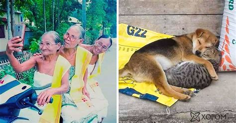 Нөхөрлөлийн жинхэнэ үнэ цэнийг харуулсан 20 фото зураг Таны сэтгэлд