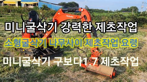 제초기 작업 굴삭기 과수원 조경수 농장 작업 깔끔히 잡초 제거 동영상 Youtube