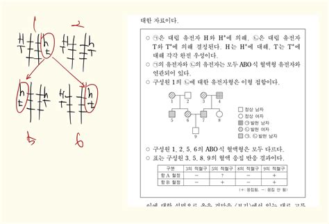 생강 생1 9평 가계도 오르비