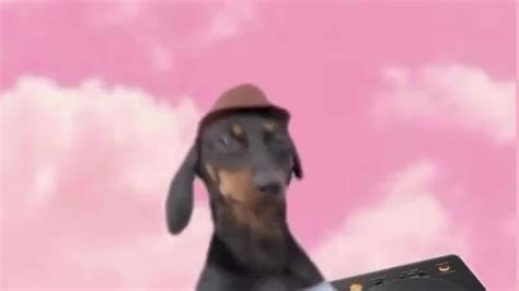 این قسمت دی جی کارن در رخت خواب نماشا