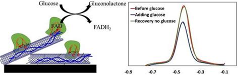 The Glucose Effect On Direct Electrochemistry And Electron Transfer