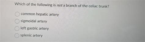 Which Of The Following Is Not A Branch Of Studyx