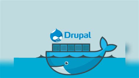 Deploying Drupal Cms With Docker A Step By Step Guide