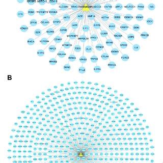 Compound Target Network And Disease Target Network A Download Scientific Diagram