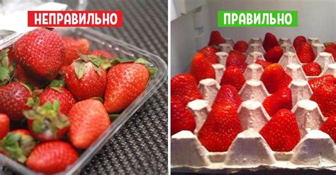 Хранение продуктов в холодильнике
