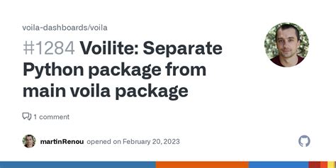 Voilite Separate Python Package From Main Voila Package · Issue 1284 · Voila Dashboardsvoila