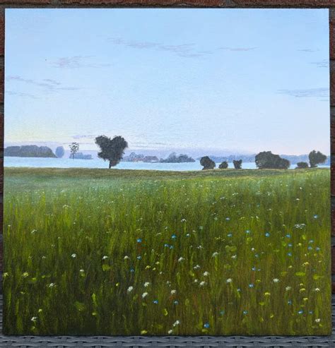 Misty Fields
