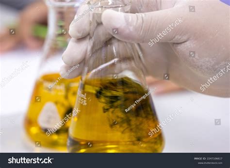 Biological Oxygen Demand Bod Testing Process Stock Photo Shutterstock