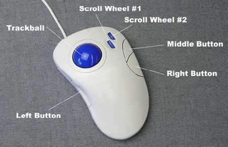 ScrollTrack Dual Scroll Wheel Ergonomic Trackball Mouse