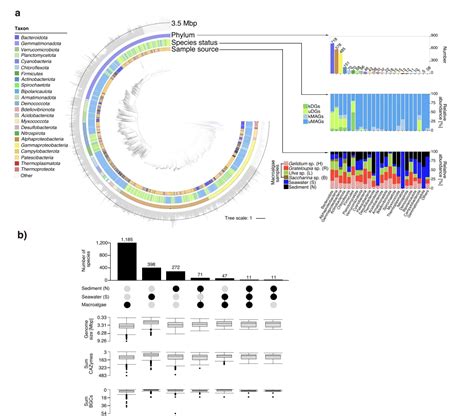 前沿研究 16s 宏基因组binning揭示大型藻类附生微生物群落核心组成 哔哩哔哩